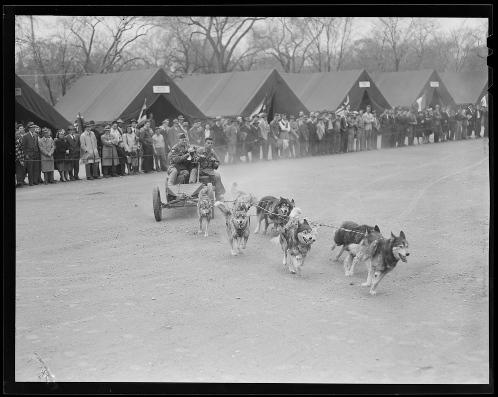 First army test of wheeled dog sleds - Digital Commonwealth