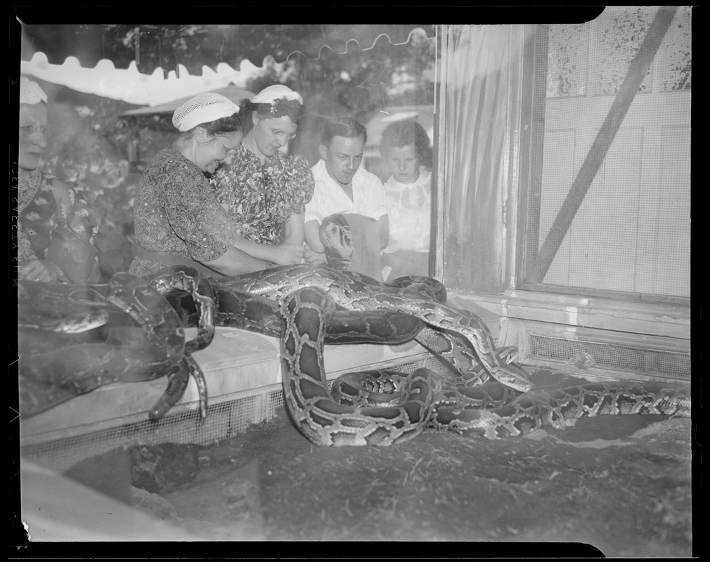 Benson Farm, N.H. - Digital Commonwealth