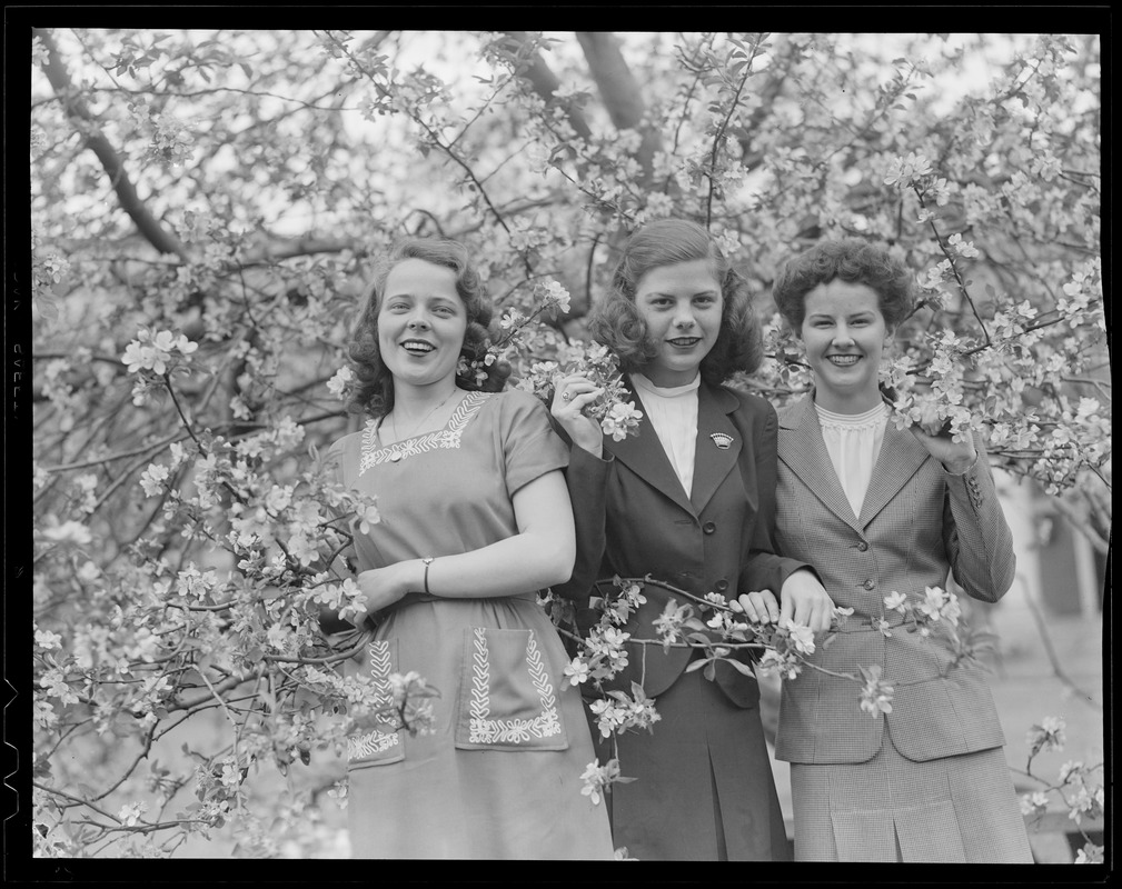 Three women - Digital Commonwealth