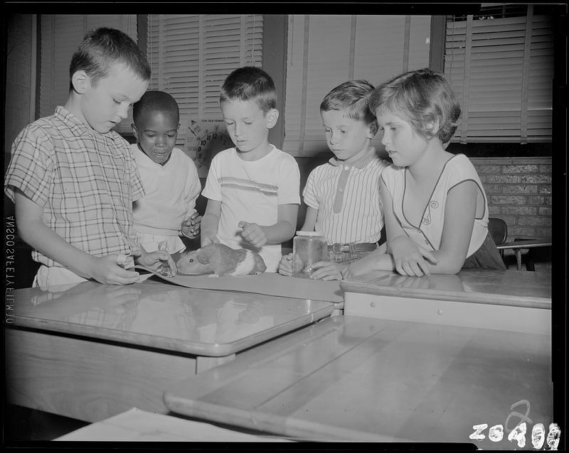Kids around a table - Digital Commonwealth