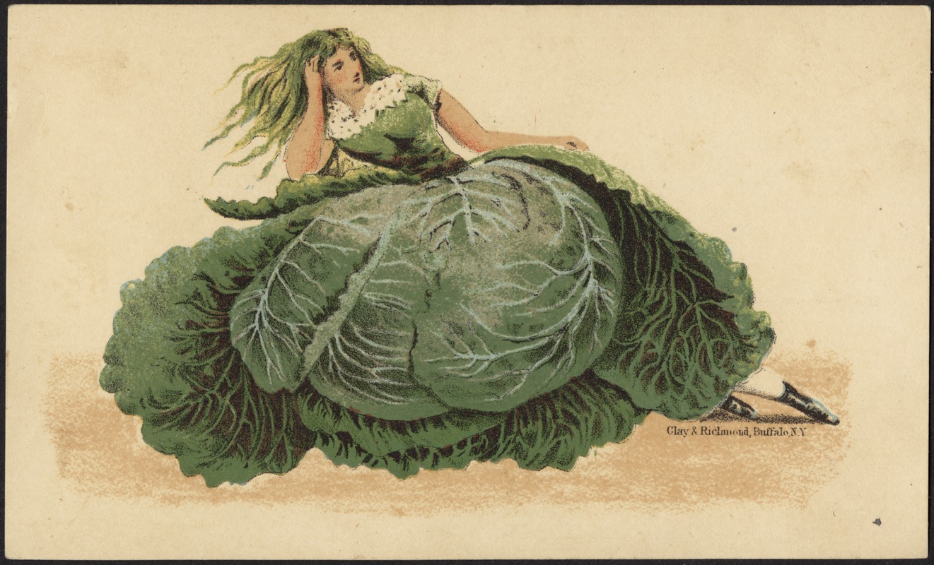 Woman leaning in a dress made up of a cabbage. - Digital Commonwealth