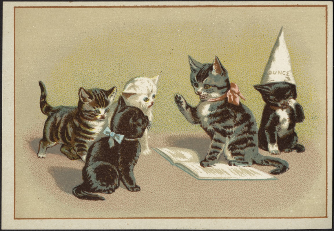 Five cats, one sitting with a dunce cap while one reads from a book to ...