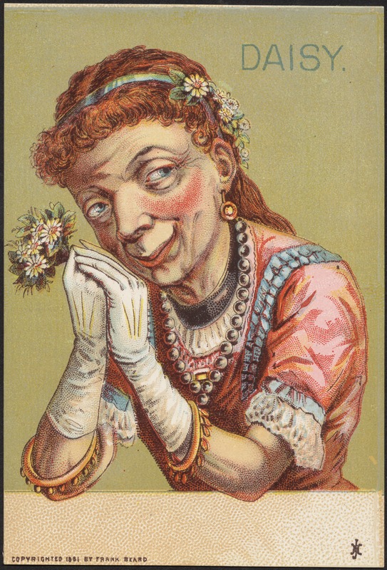 Daisy. - Digital Commonwealth