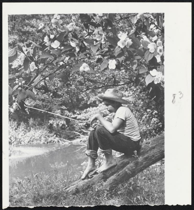 Now That School is out, Paul Stein, 14, of Pittsburgh can give his ...