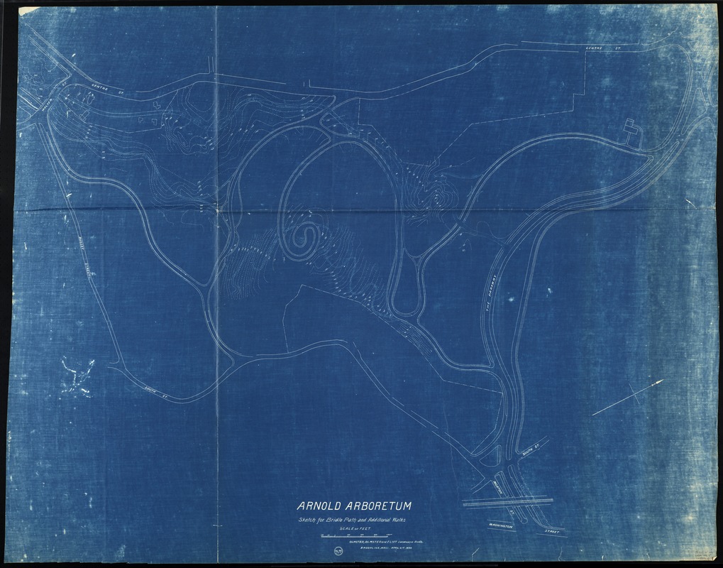 Sketch for Bridle Path and additional walks - Digital Commonwealth