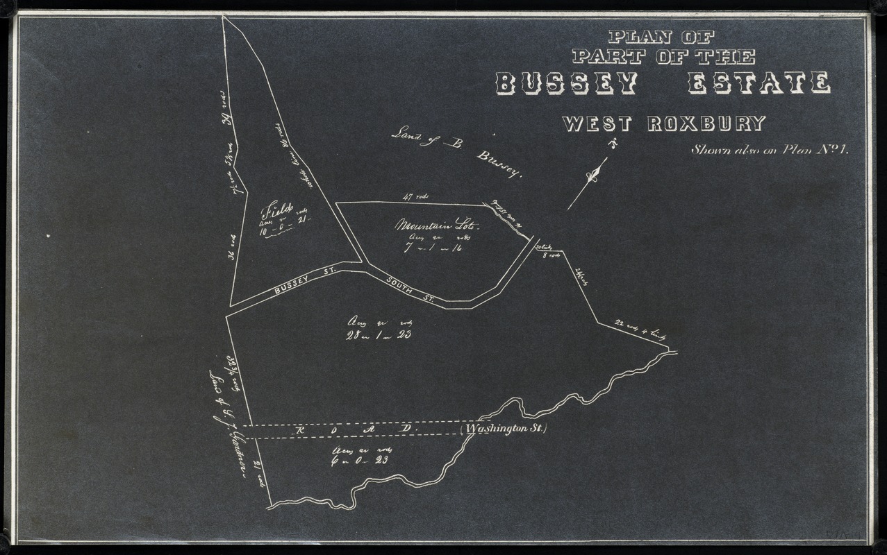 Plan of part of the Bussey Estate - Digital Commonwealth
