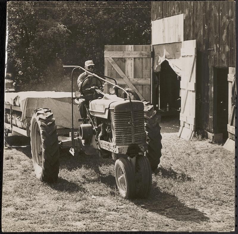 Tobacco picture - Digital Commonwealth