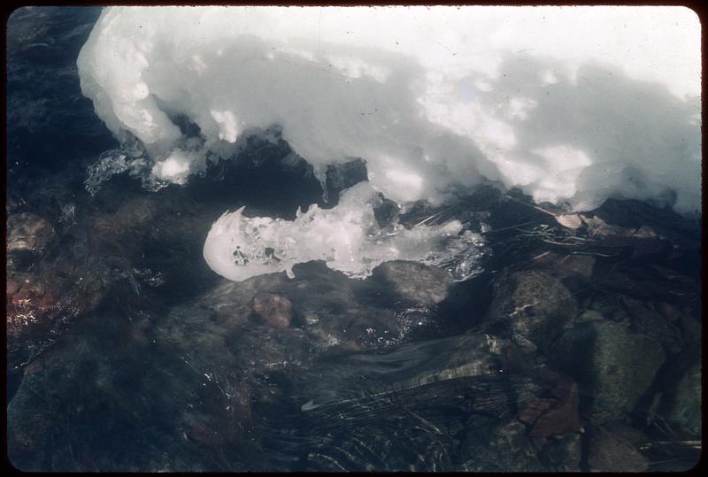 Snow? - Digital Commonwealth