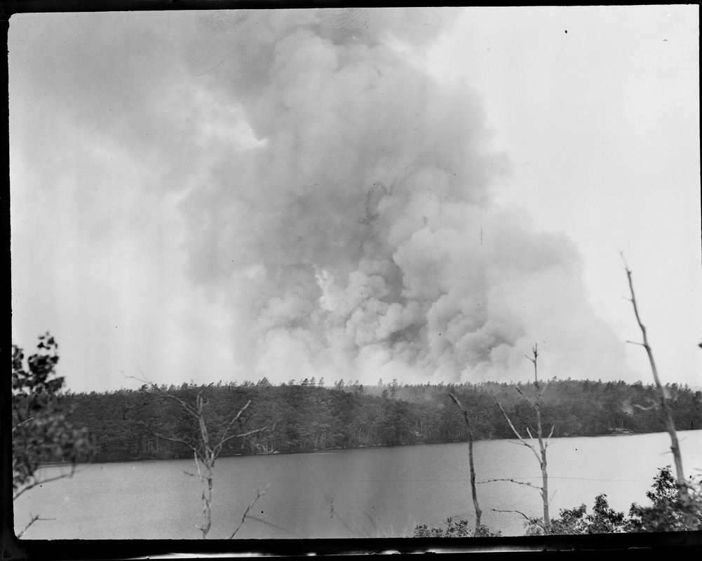 Cape Cod forest fire - Digital Commonwealth