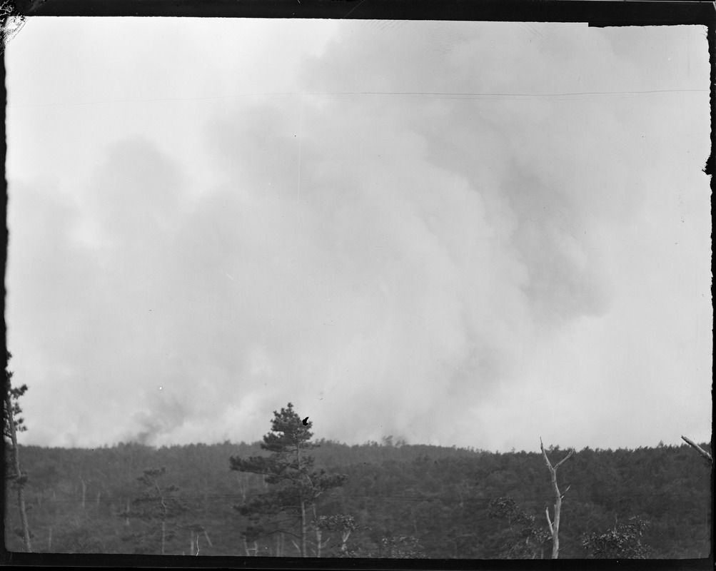 Cape Cod forest fire - little + big herring pond - Bourne + Plymouth ...