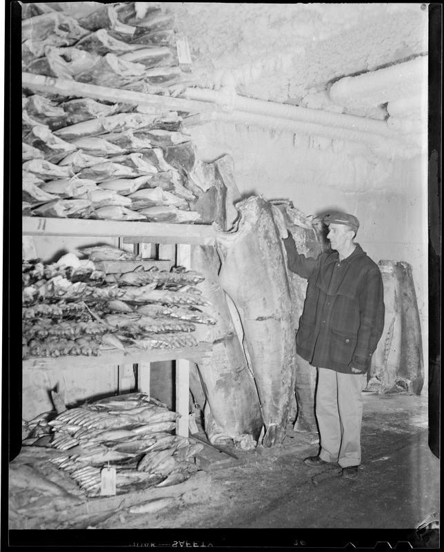 Fish packer - Digital Commonwealth