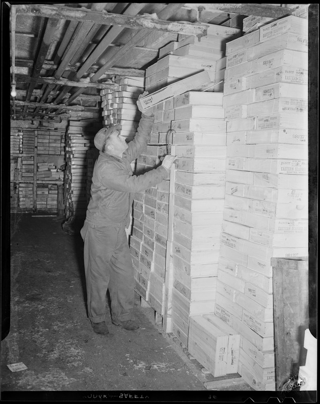 Fish packer - Digital Commonwealth