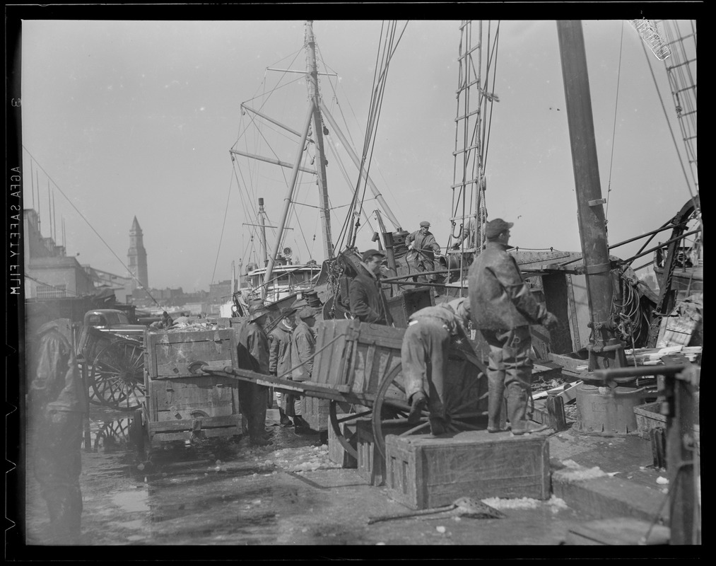Waterfront: Fish pier - South Boston - Digital Commonwealth