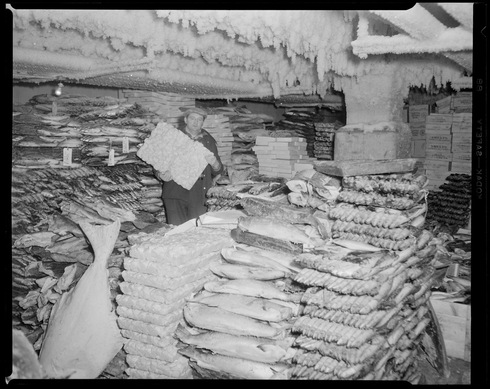 Fisherman stacking fish in the deep freeze - Digital Commonwealth