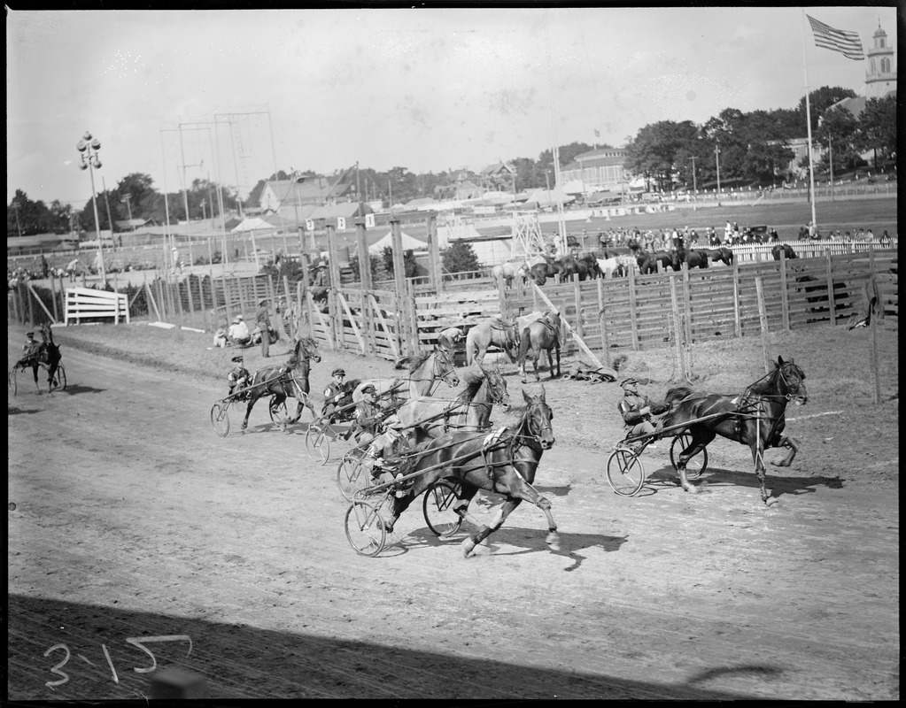 Chariot horse race - Digital Commonwealth
