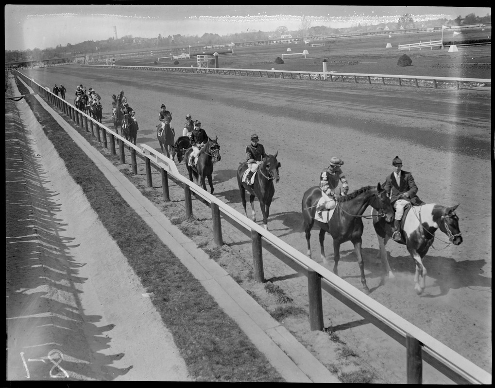 Horses being led to starting line - Digital Commonwealth