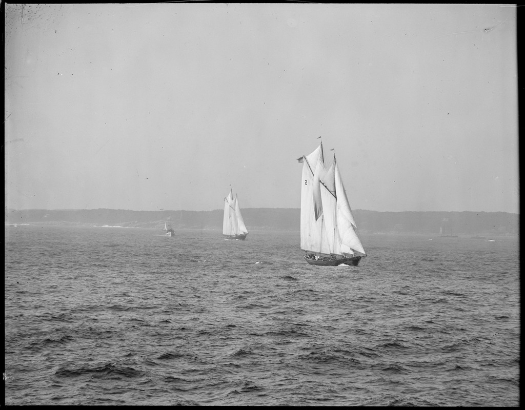 Gertrude L. Thebaud Bluenose and USS Tampa, Gloucester - Digital ...