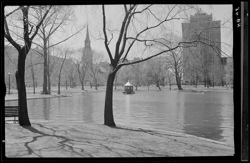 Spring in the Public Garden, Boston - Digital Commonwealth