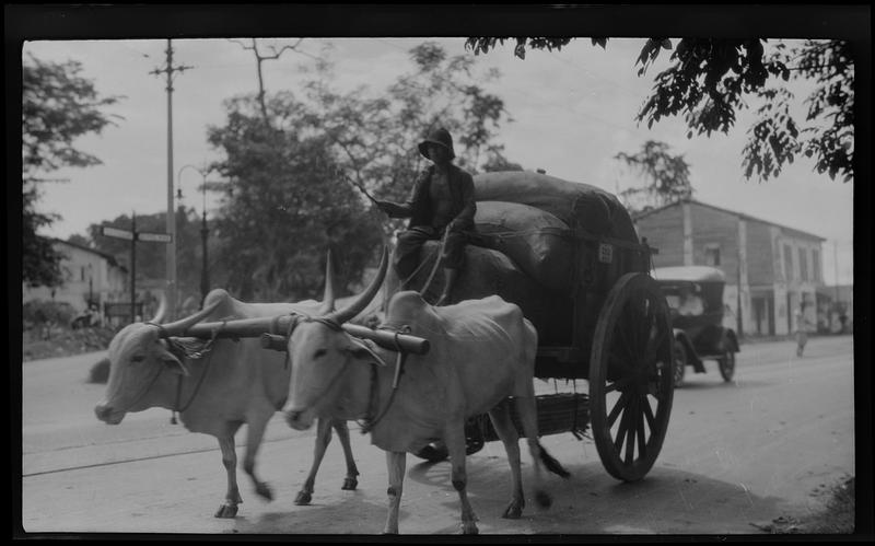 Ox cart, Singapore - Digital Commonwealth