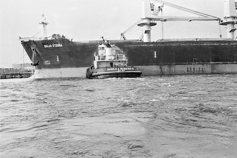 Solar Eterna - Digital Commonwealth