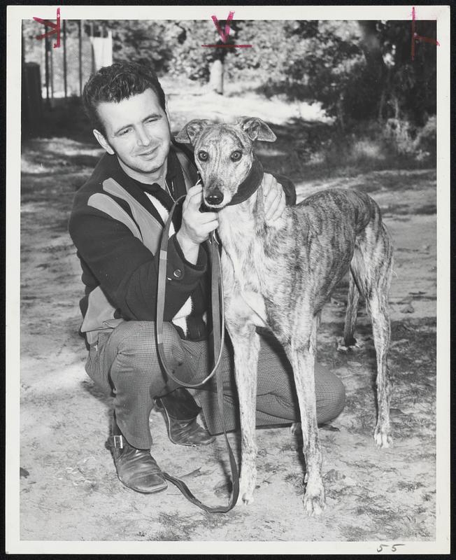 Looking Ahead - Meanus Magic, shown with Trainer B Antunes, wait ...