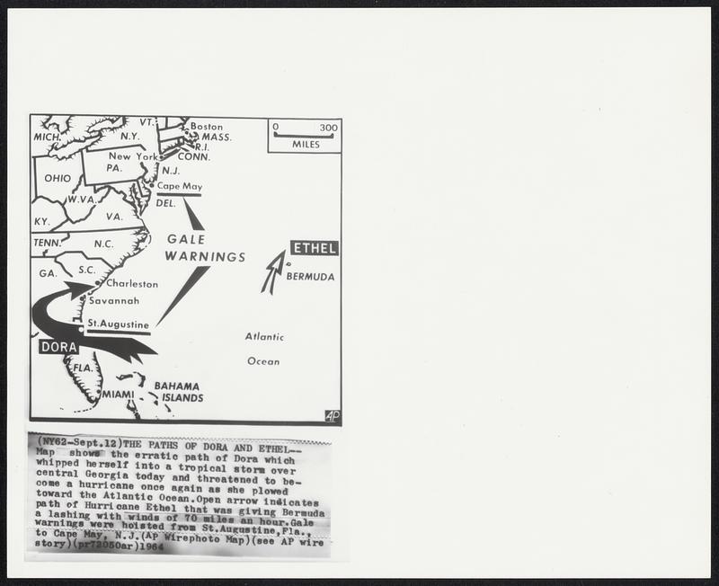 The Paths of Dora and Ether--Map shows the erratic path of Dora which ...