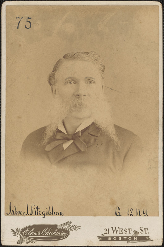 John J. Fitzgibbon, Company G 12th New York - Digital Commonwealth