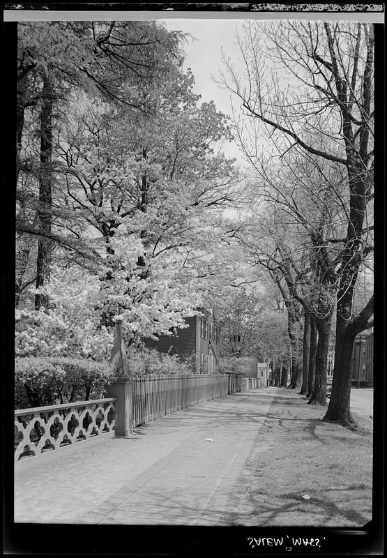Street scene, spring - Digital Commonwealth
