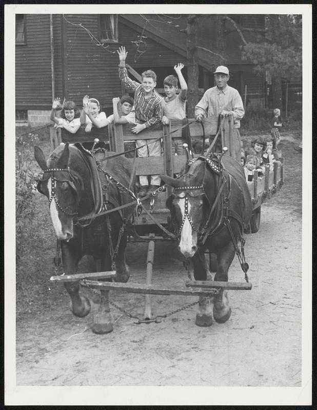 Old-Time Hayride around the 175-acre Drumlin Farm was big thrill for ...