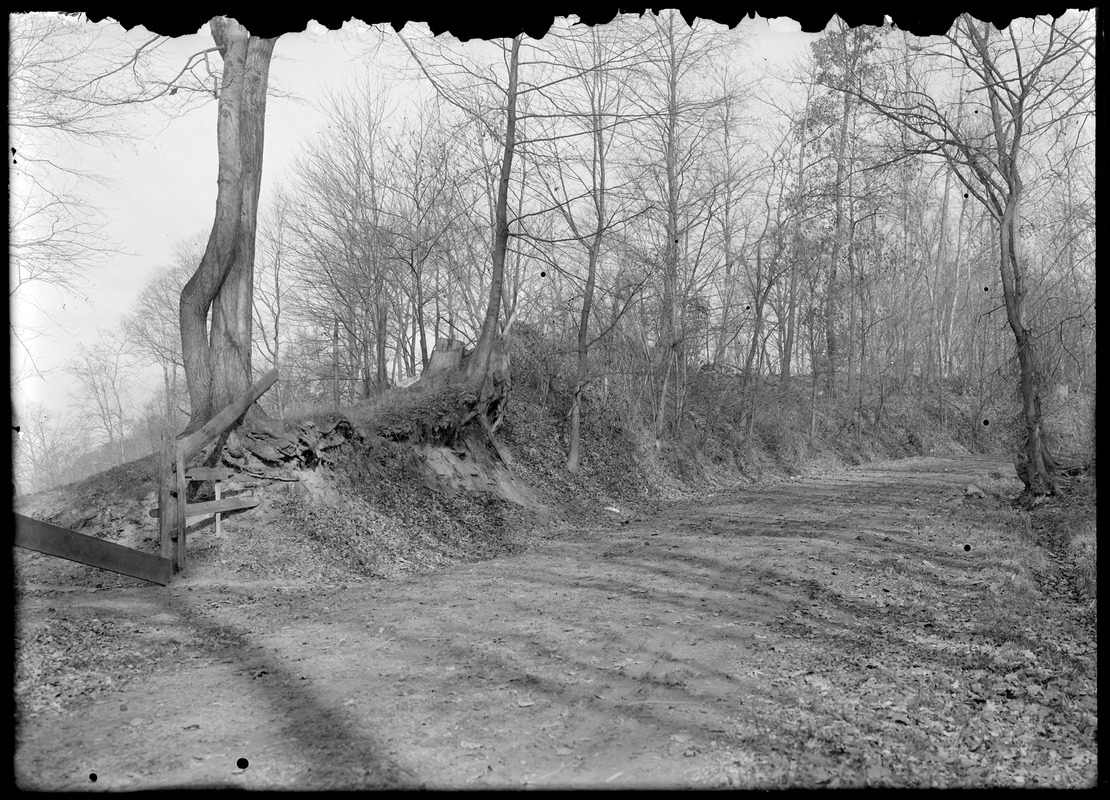 Birnie Road - Digital Commonwealth