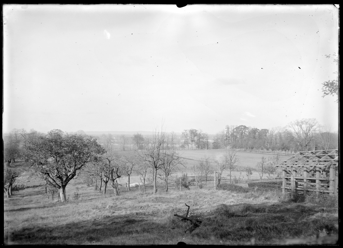 NW from Medlicott garden - Digital Commonwealth