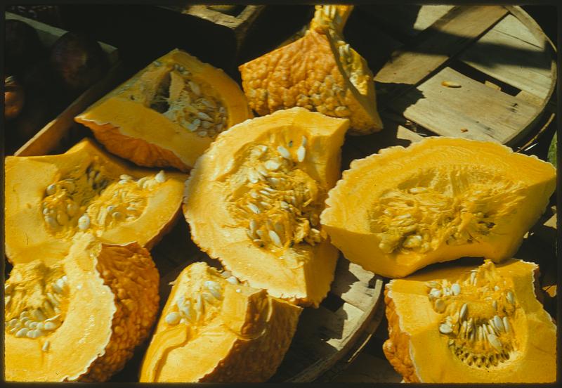 Pumpkin slices - Digital Commonwealth