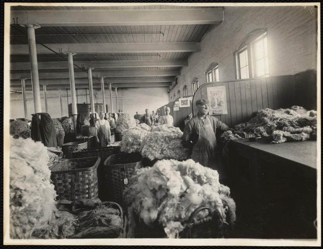 L.S.2 wool storehouse. View in wool sorting room - Digital Commonwealth
