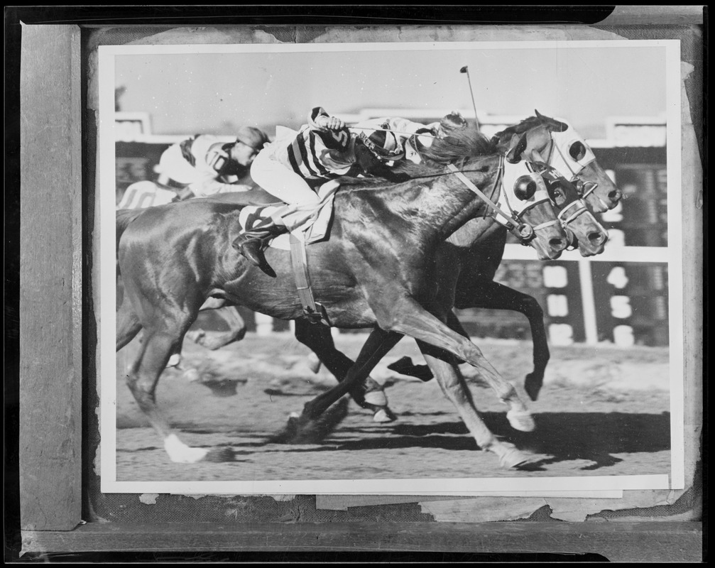Horse racing: close finishes - Digital Commonwealth