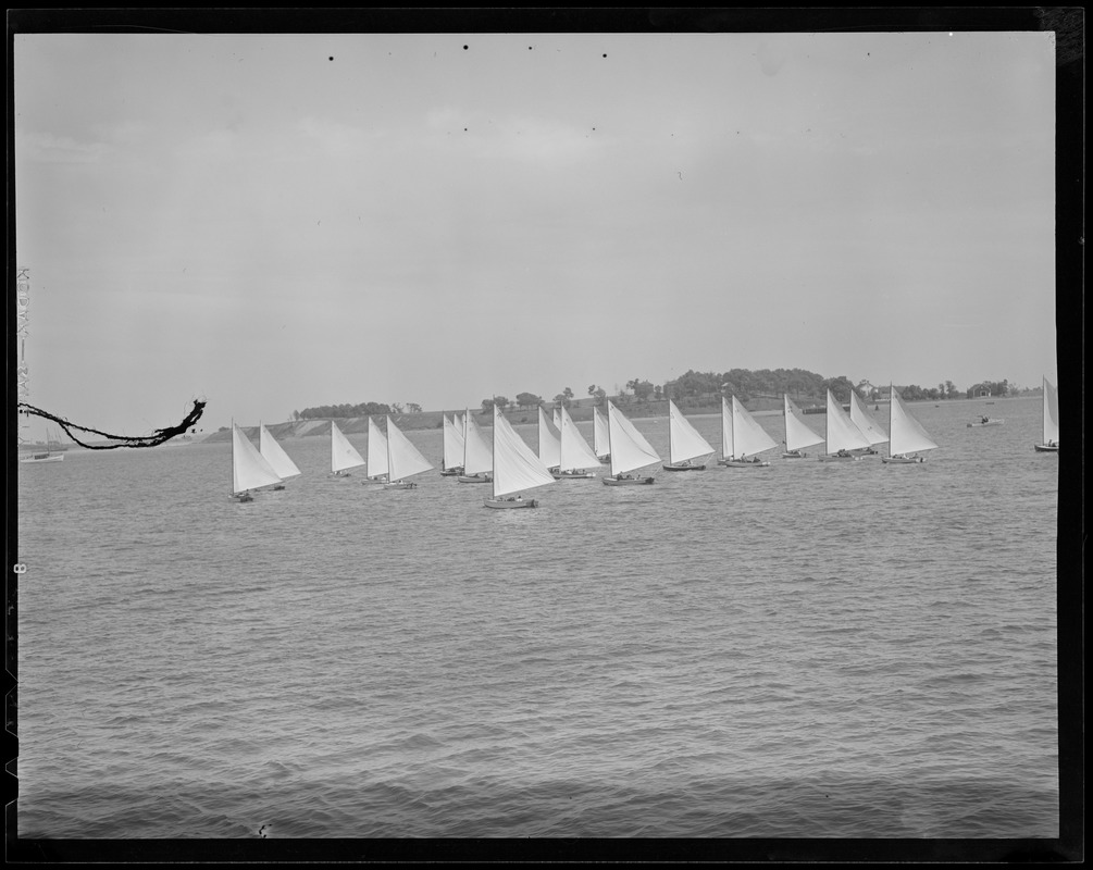 Sailboats: flotilla - Digital Commonwealth