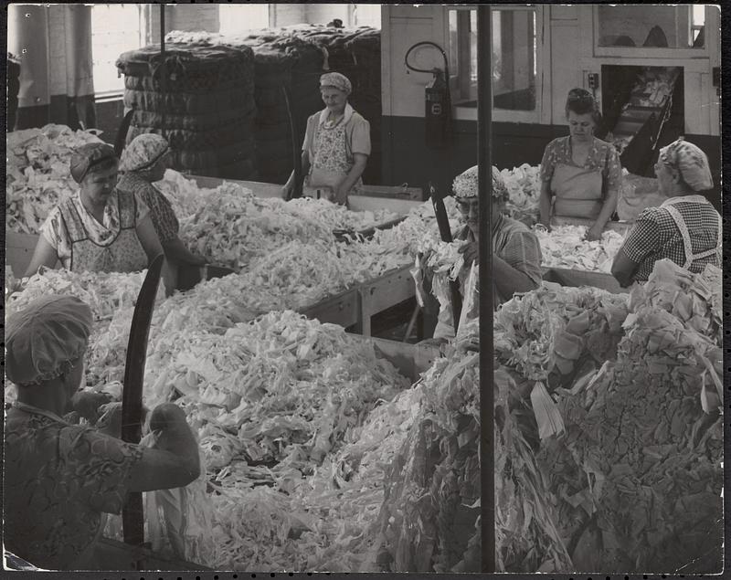 Bay State Mill, Rag Room - Digital Commonwealth