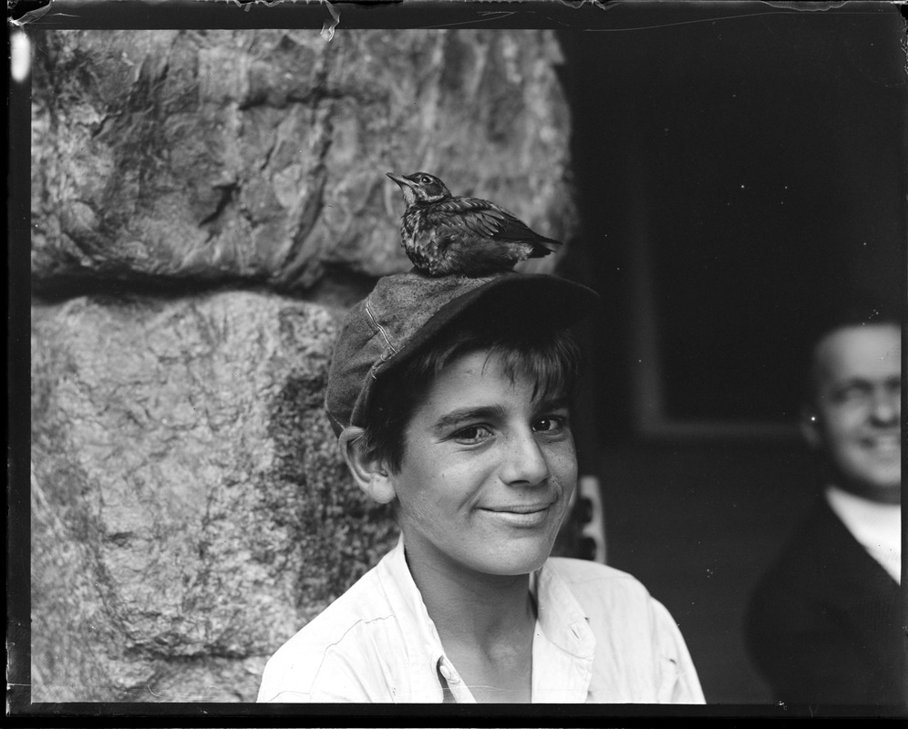 Boy with bird sitting on head - Digital Commonwealth