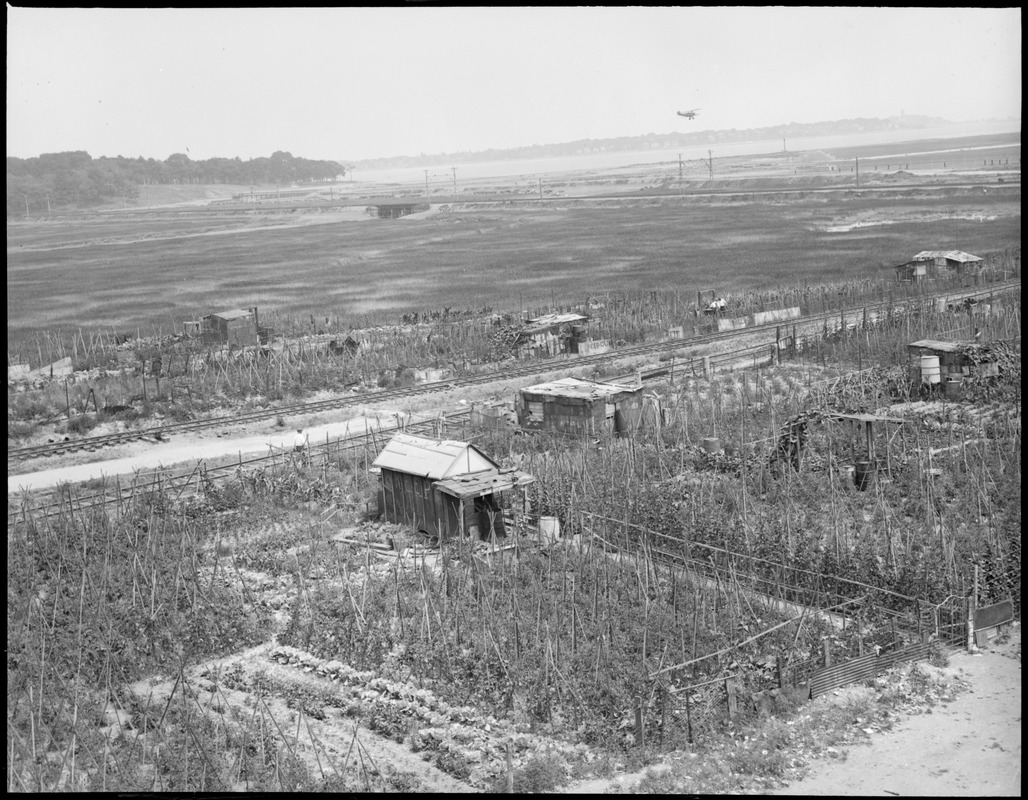 Squatters "farms" along railroad tracks in East Boston - Digital ...