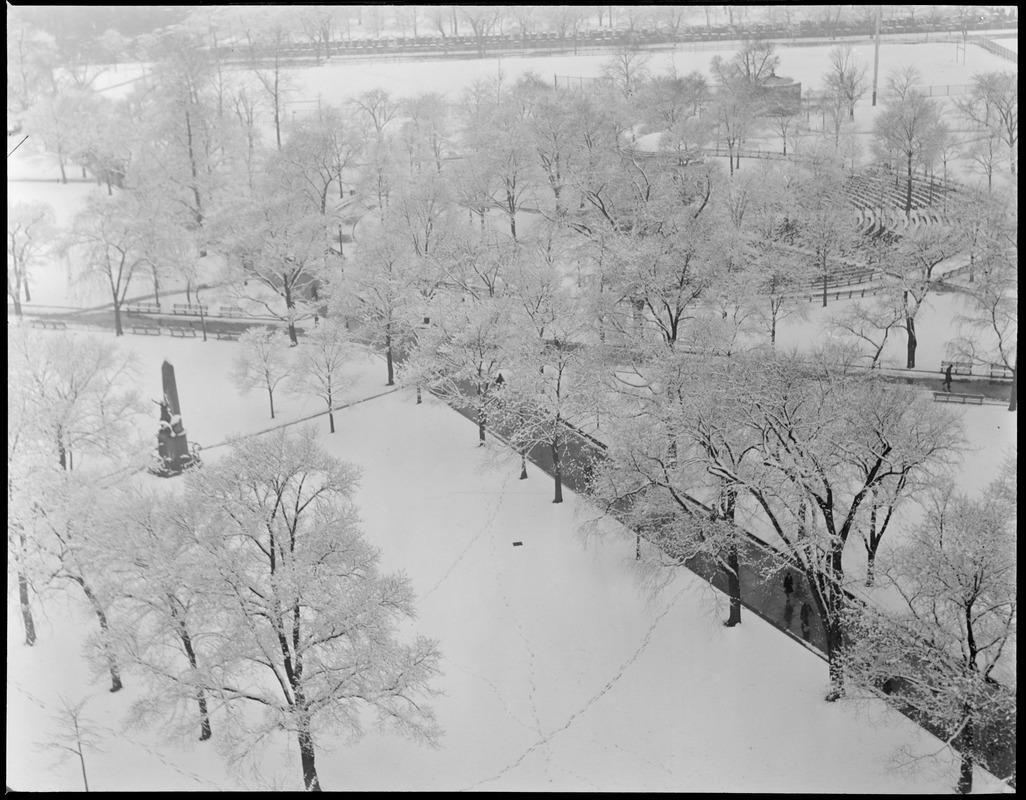 Boston Common after first snow fall - Digital Commonwealth