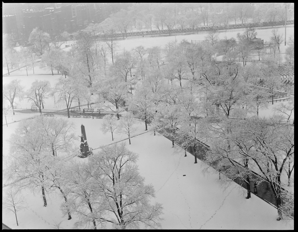 Boston Common after first snow fall - Digital Commonwealth