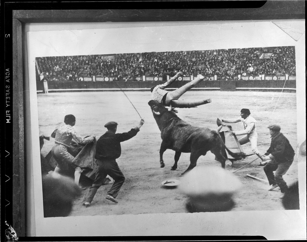 Fighting the bull in Spain & Mexico - Digital Commonwealth