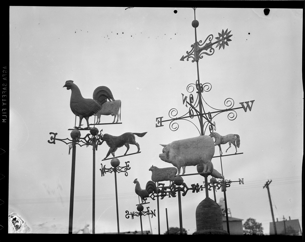 Weathervanes - Digital Commonwealth