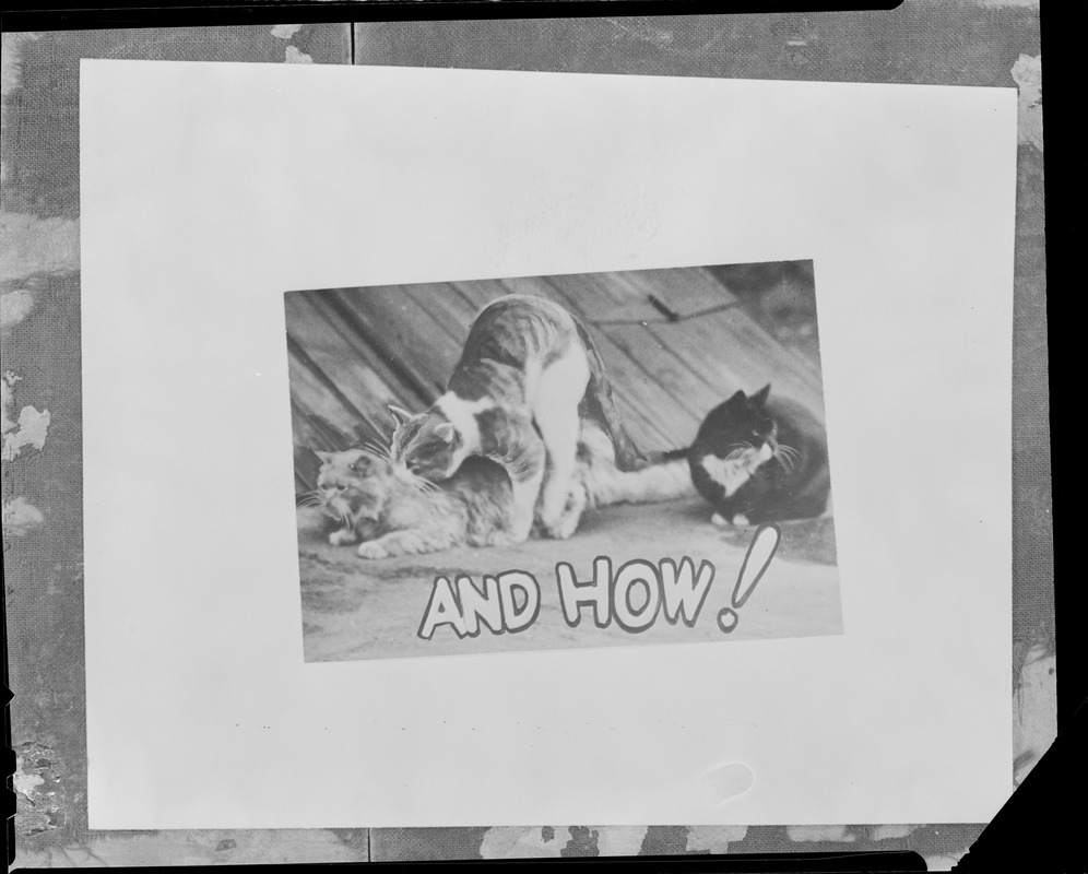 Obscene cartoon - Digital Commonwealth