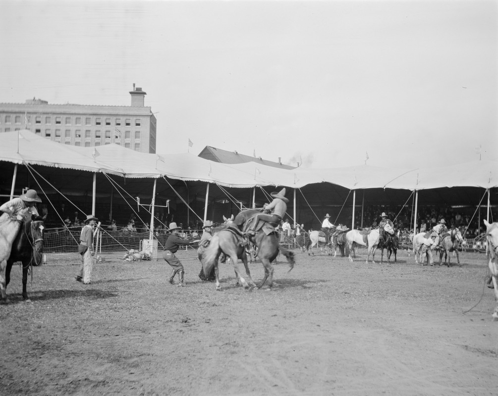 Rodeo in Boston - Digital Commonwealth