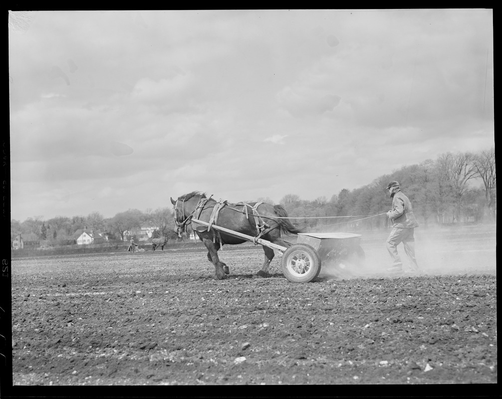 Farmer seeding field - Digital Commonwealth