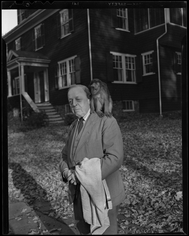 Mr. Wagner's dog and monkey - Digital Commonwealth