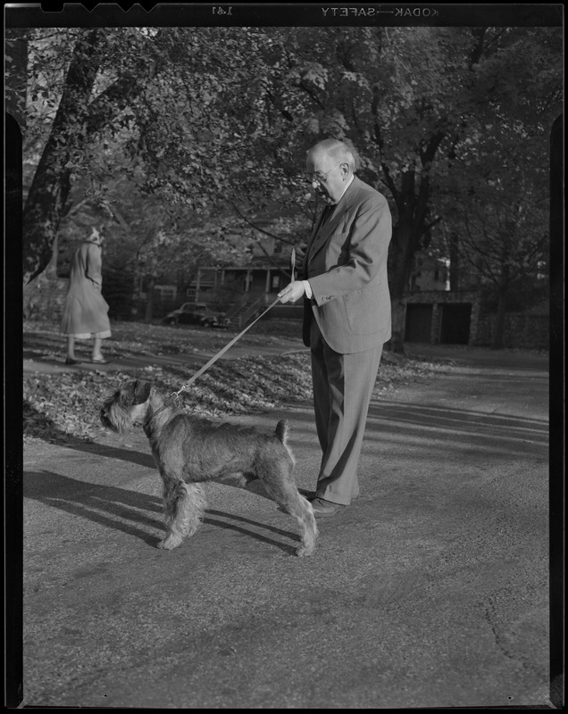 Mr. Wagner's dog and monkey - Digital Commonwealth