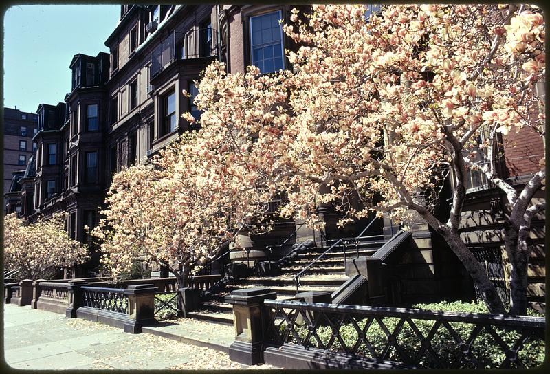 Commonwealth Ave. between Arlington & Berkeley Streets. - Digital ...