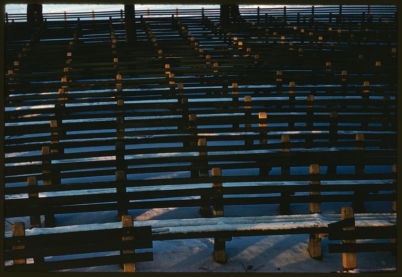 Benches, Boston Common - Digital Commonwealth