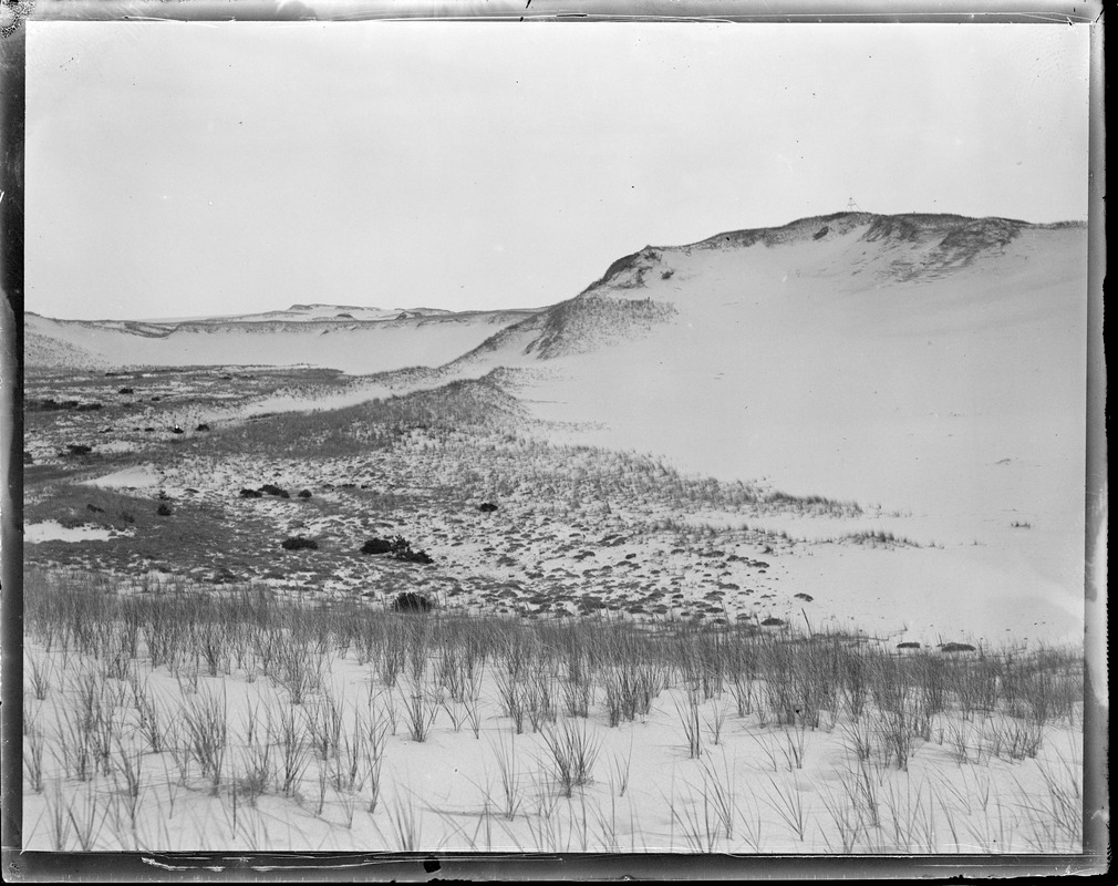 Sand dunes, Provincetown, tip end of Cape Cod as far as you can go ...